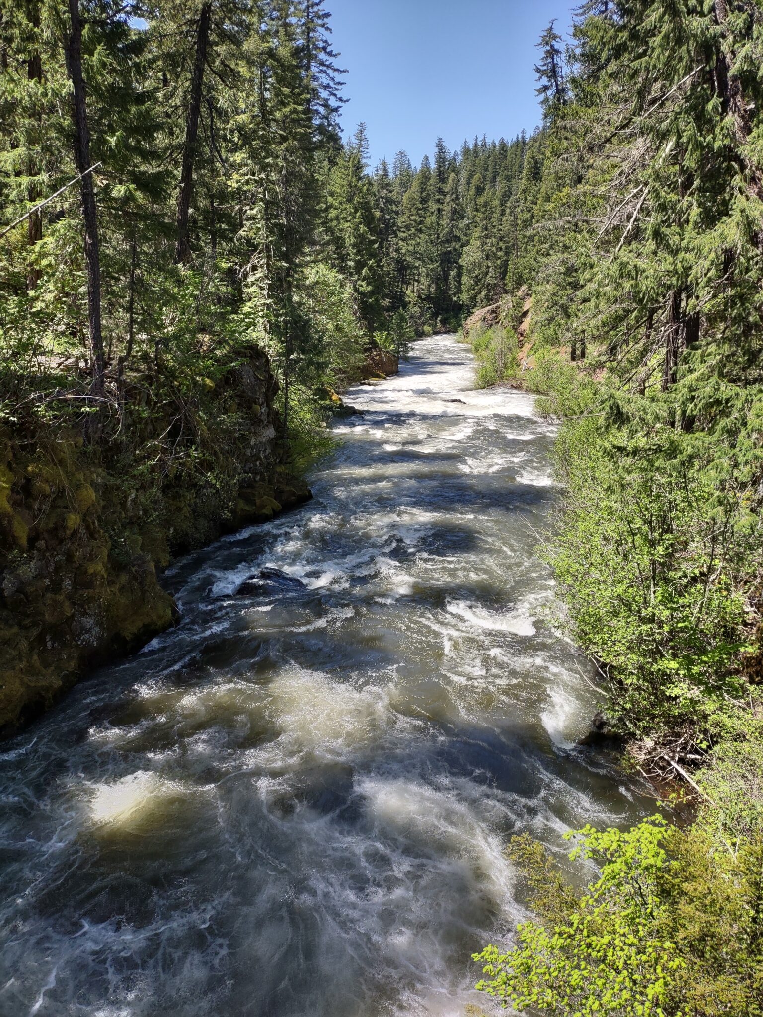 Scenic Getaway: A Day Trip to Union Creek and the Natural Bridge - A ...