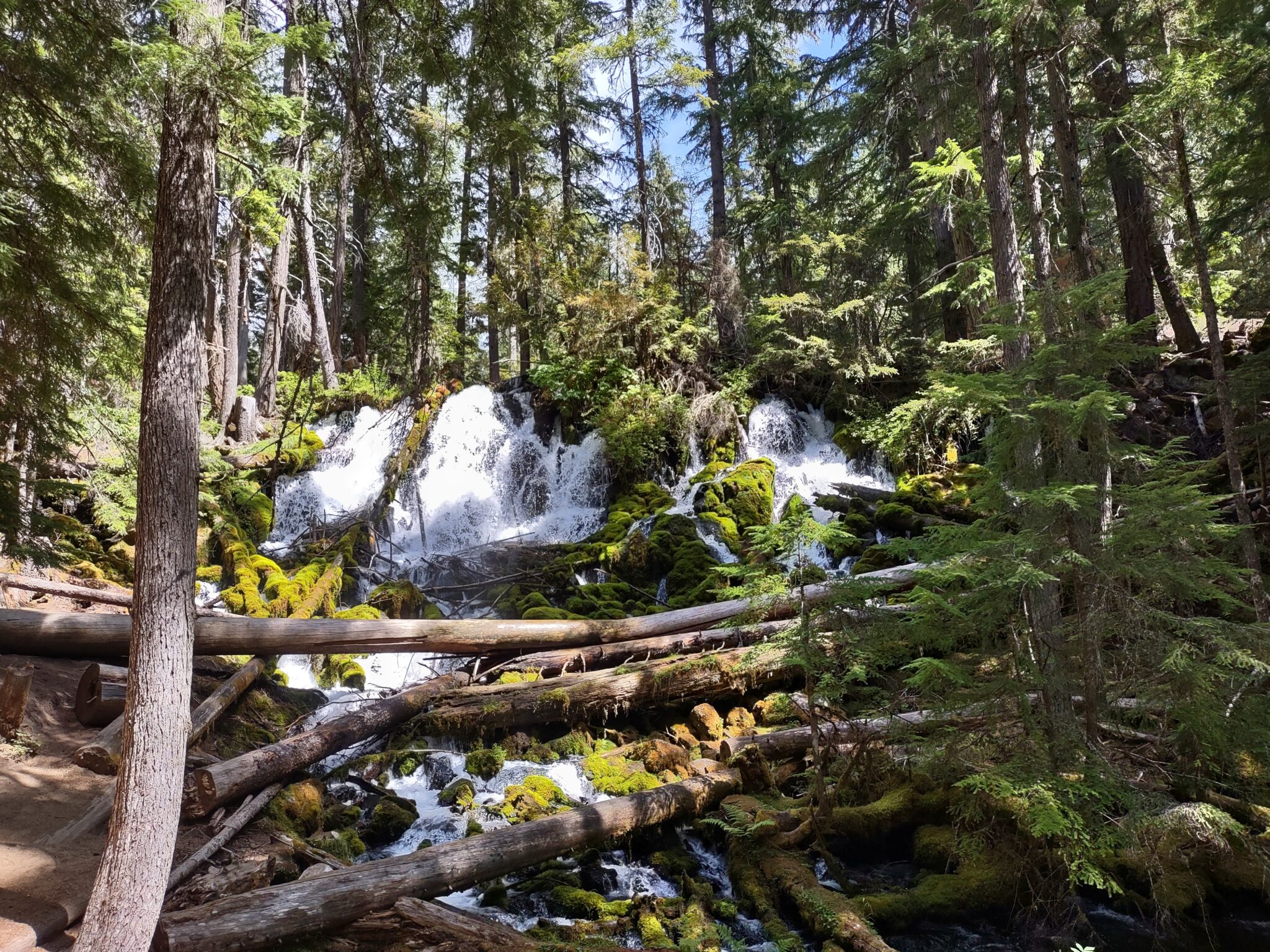 Day or Two Trip: A Journey Along Oregon's Waterfall Highway 138 - A ...