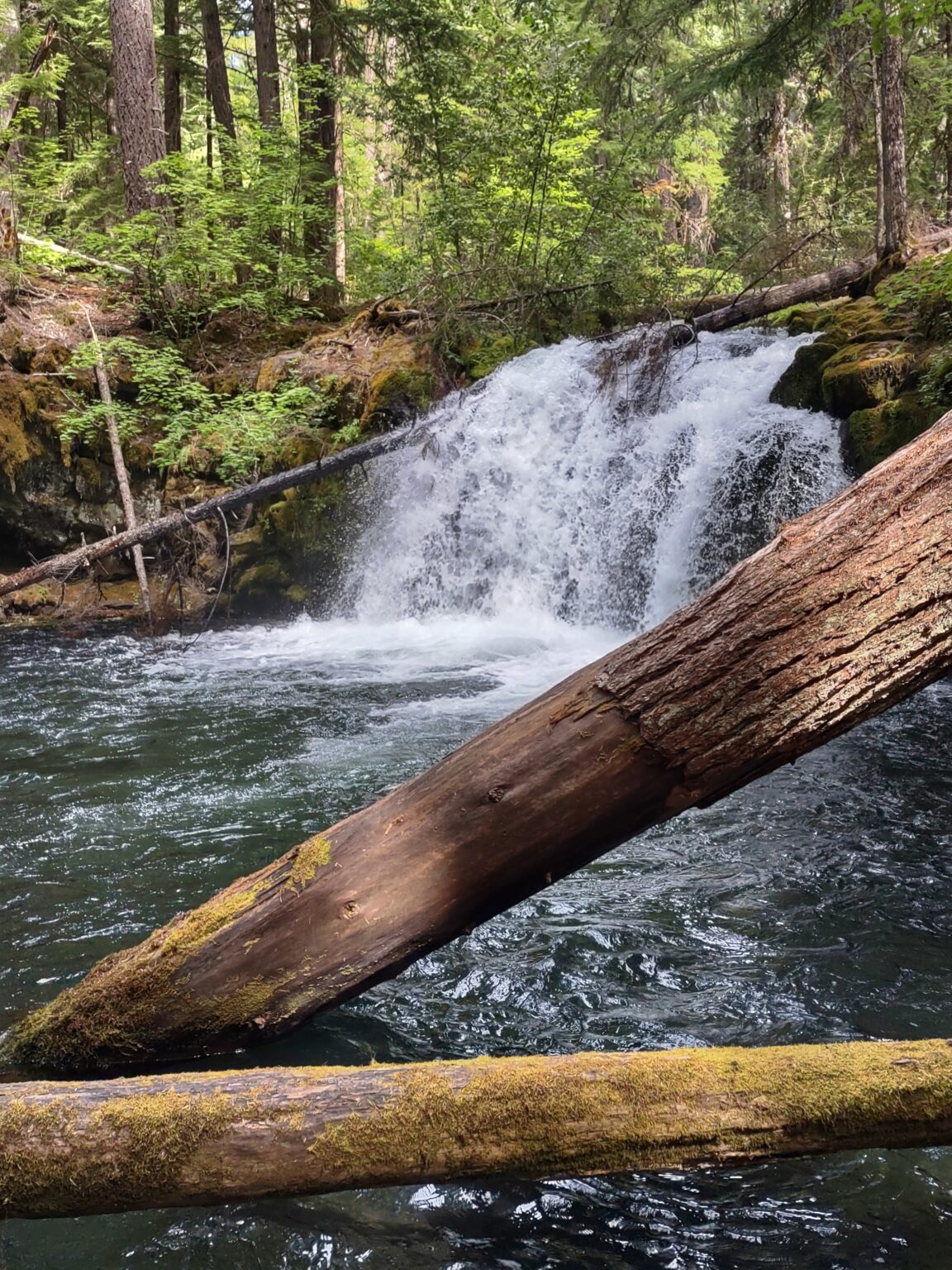Day or Two Trip: A Journey Along Oregon's Waterfall Highway 138 - A ...